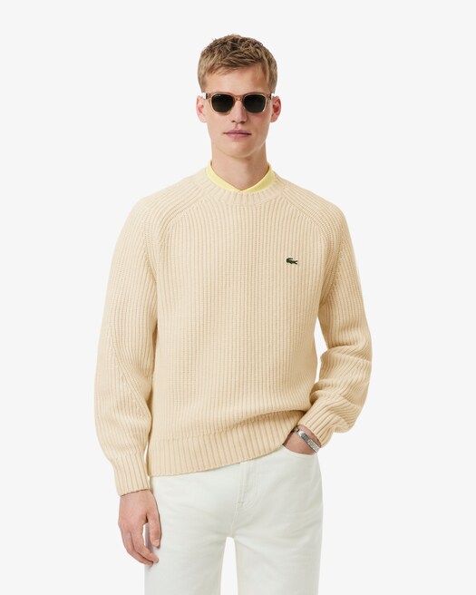 Pulls et cardigans homme | Lacoste FR