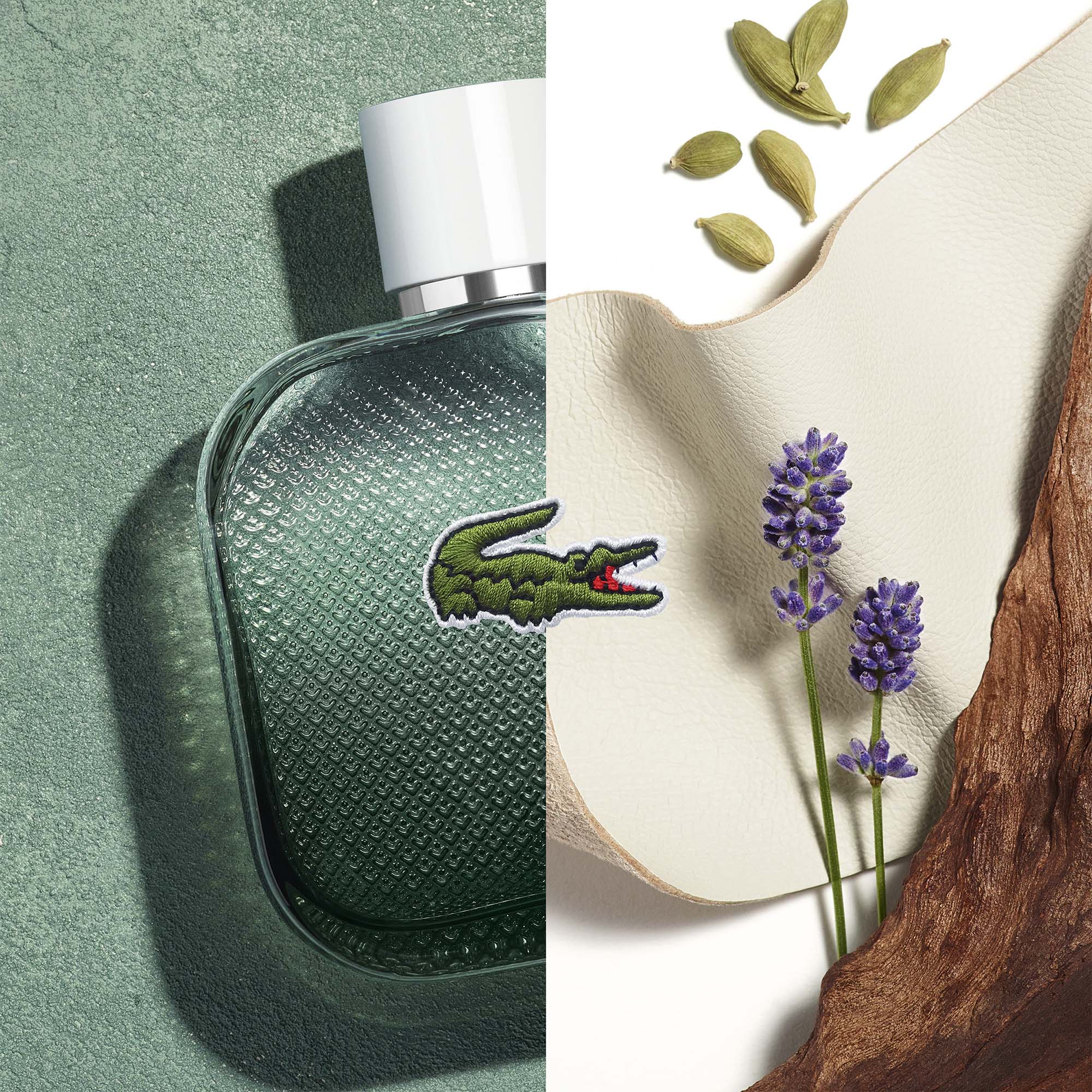 L.12.12 Blanc Eau Intense 100ml Men s Fragrances New In 2025 Lacoste