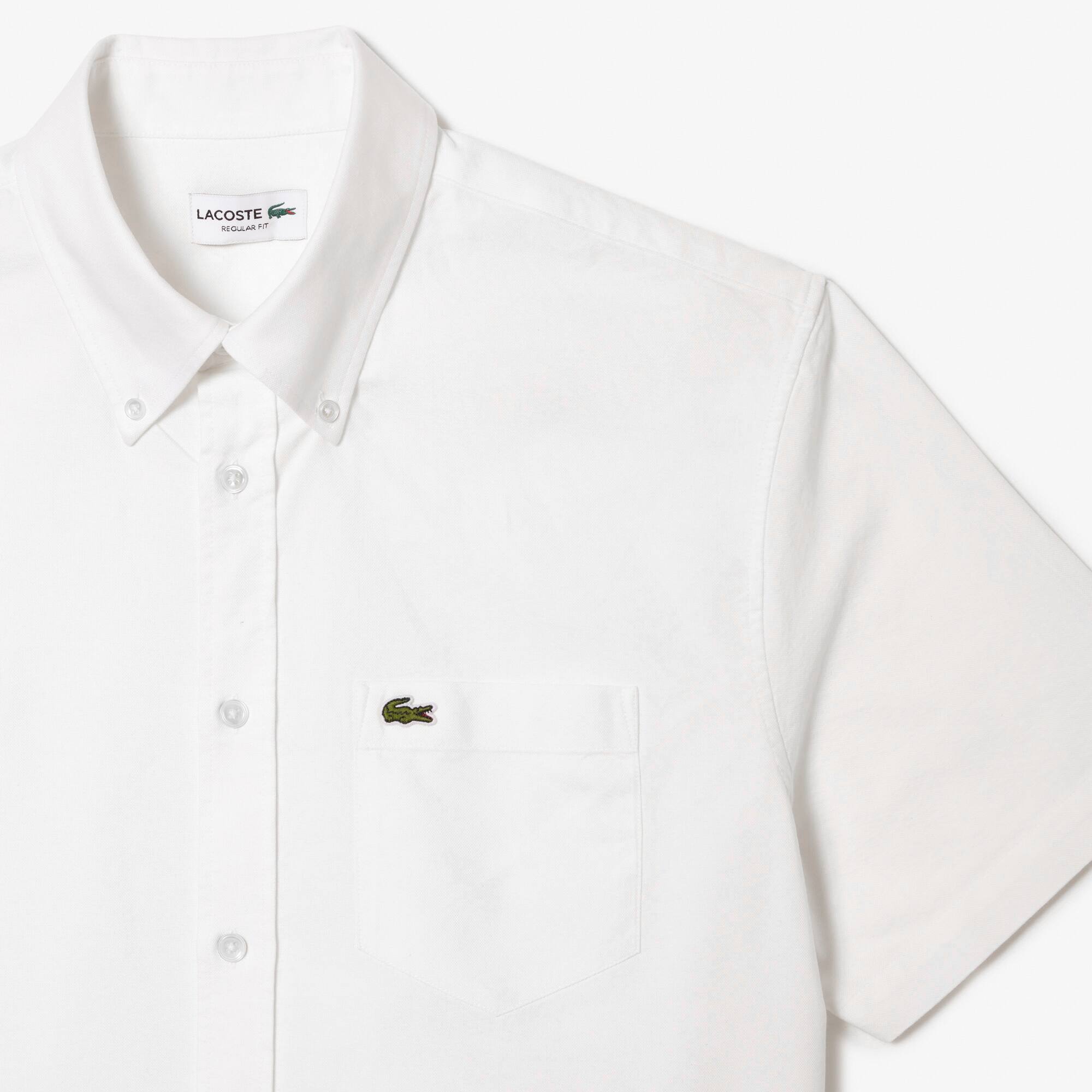 Lacoste oxford shirt sale store